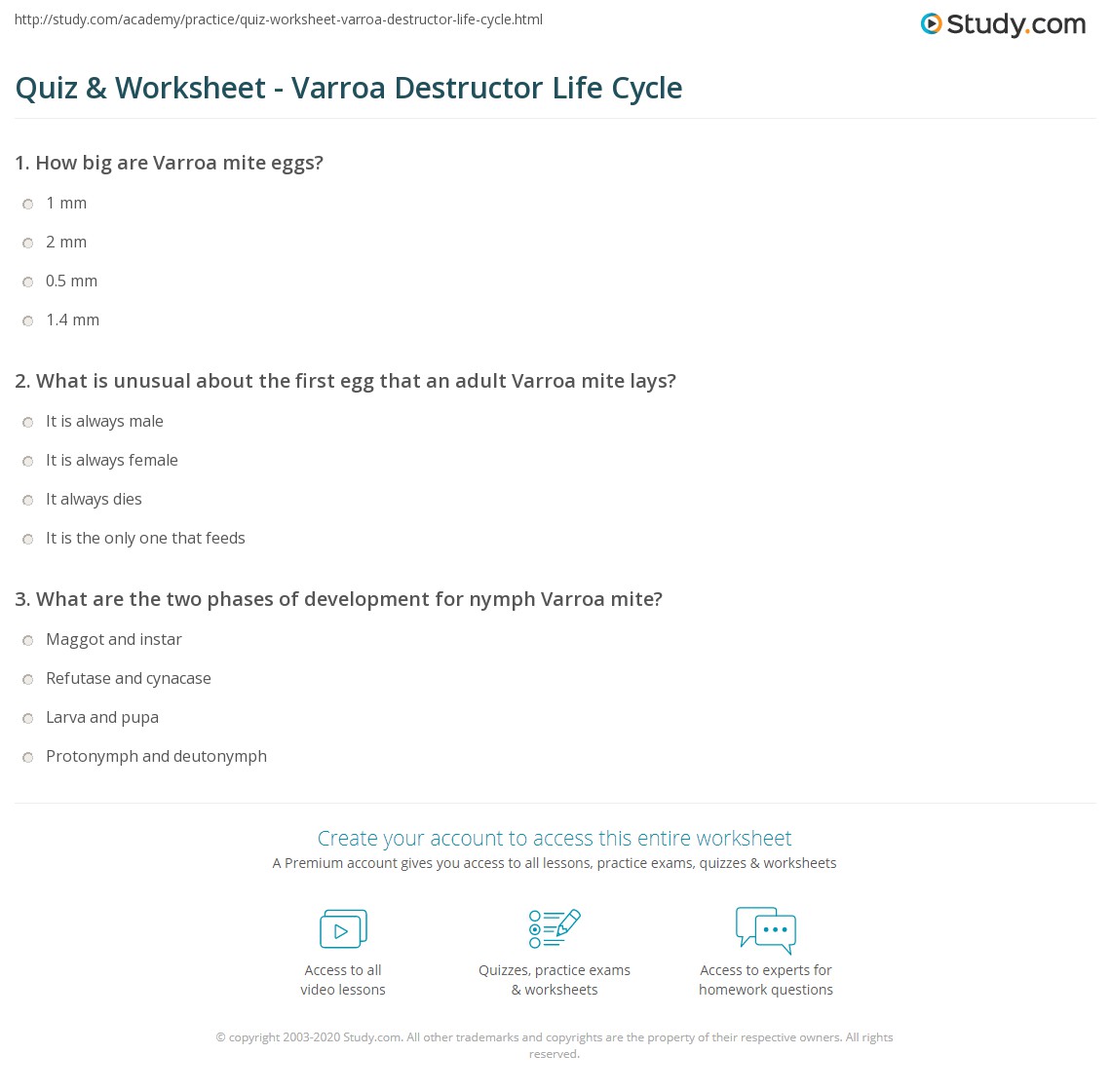Quiz & Worksheet - Varroa Destructor Life Cycle | Study.com