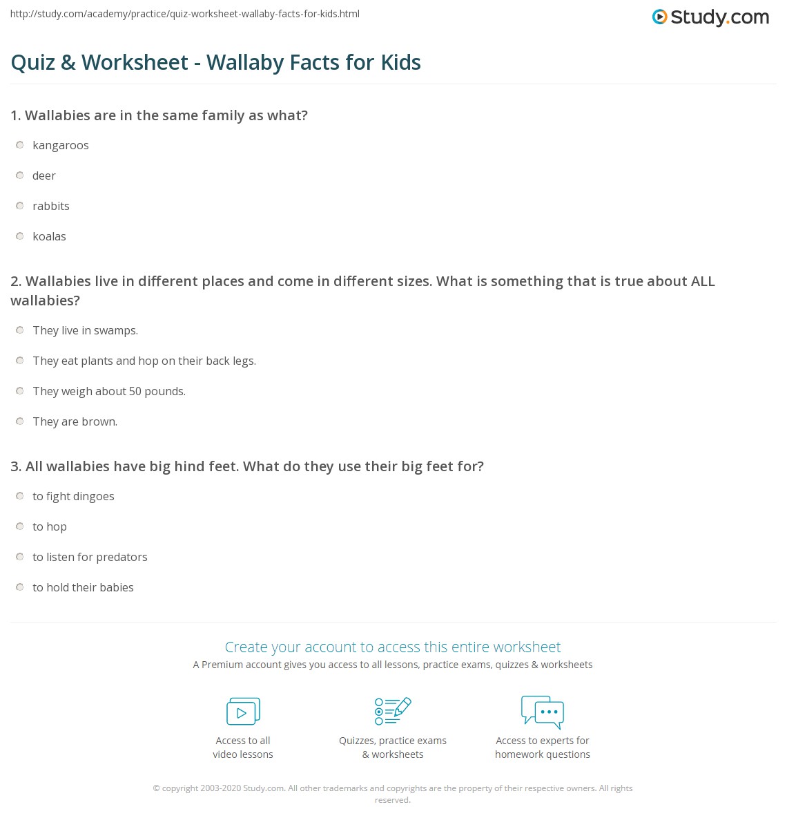 Quiz & Worksheet - Wallaby Facts for Kids | Study.com