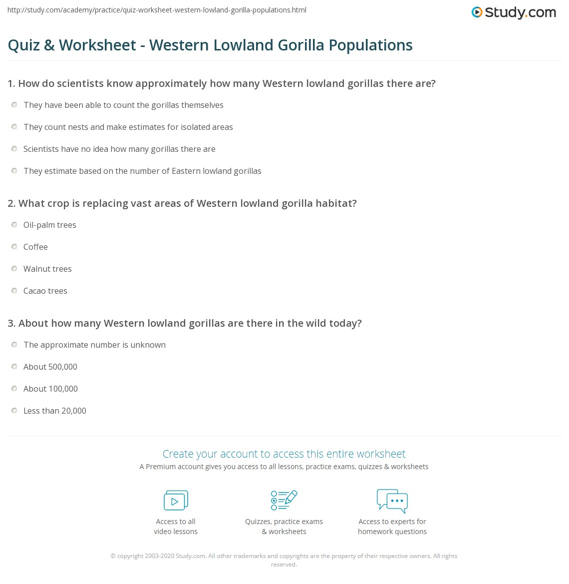 Quiz & Worksheet - Western Lowland Gorilla Populations | Study.com