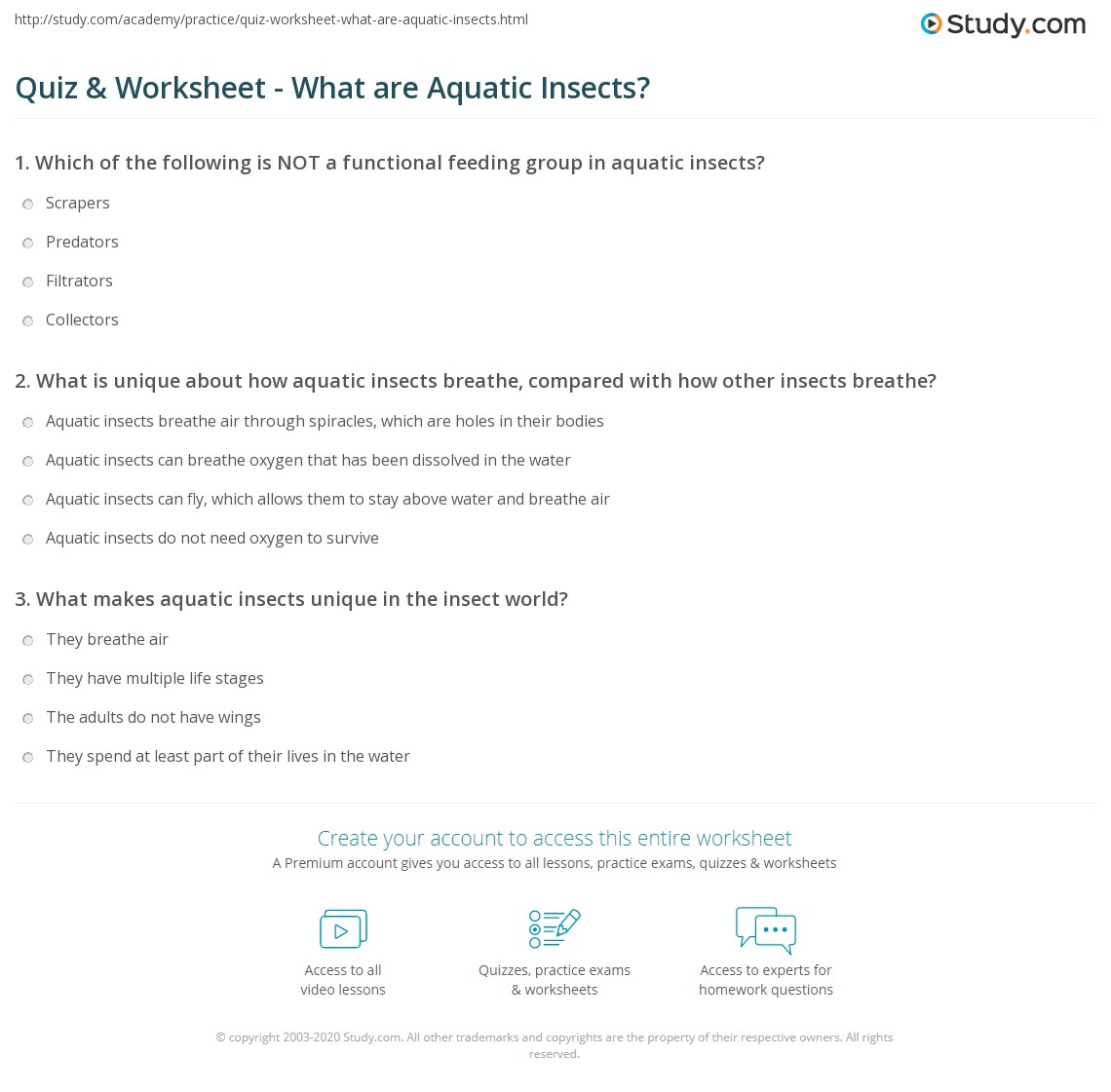 Quiz & Worksheet - What are Aquatic Insects? | Study.com