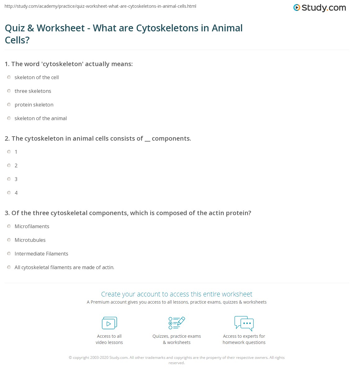 Quiz & Worksheet - What are Cytoskeletons in Animal Cells? | Study.com