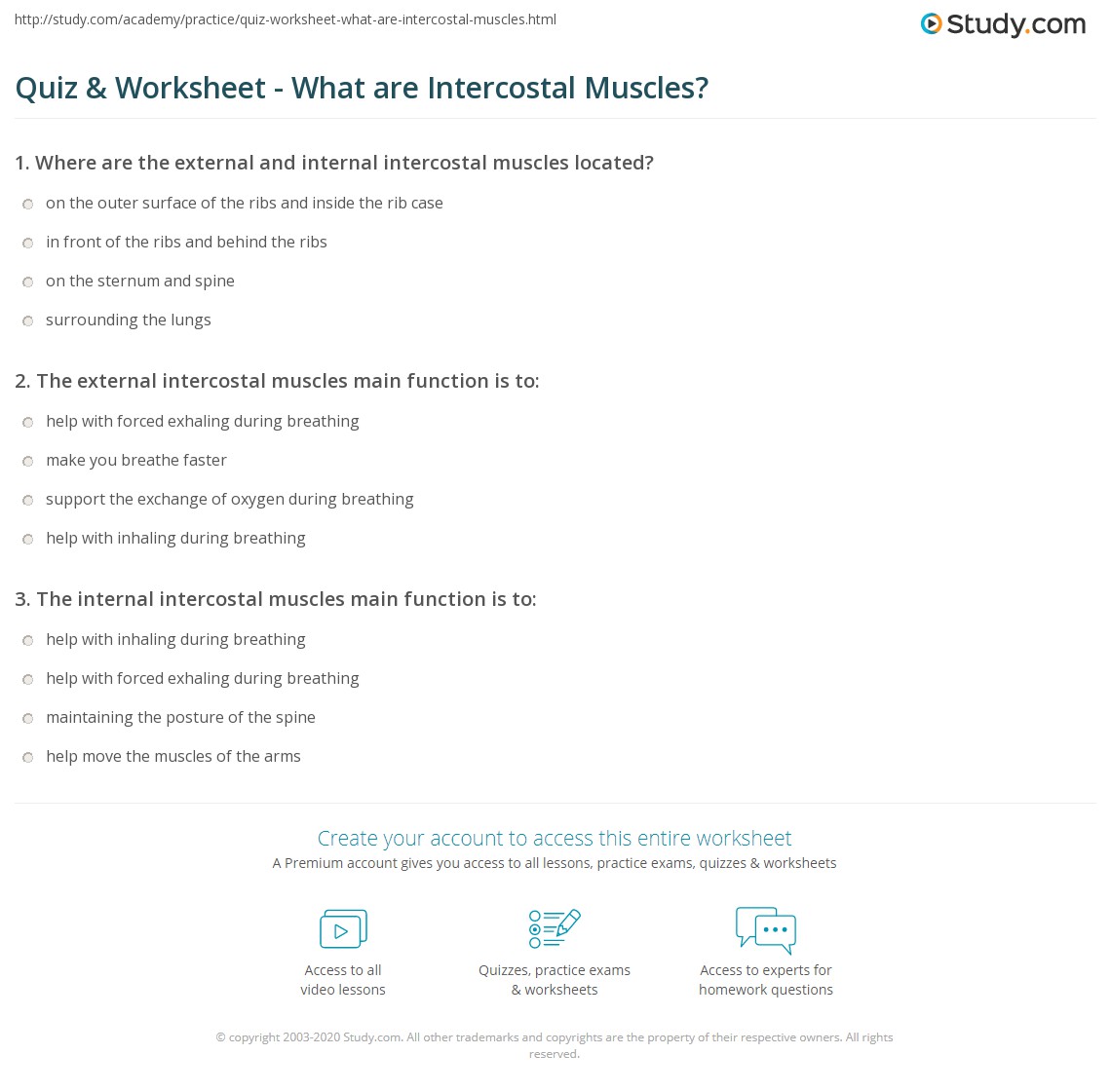 Quiz & Worksheet - What are Intercostal Muscles? | Study.com