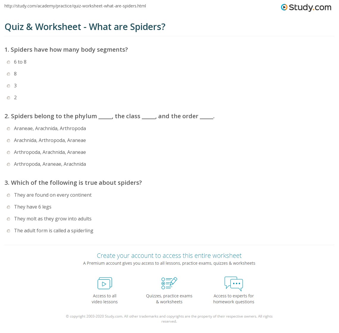 Quiz & Worksheet - What are Spiders? | Study.com