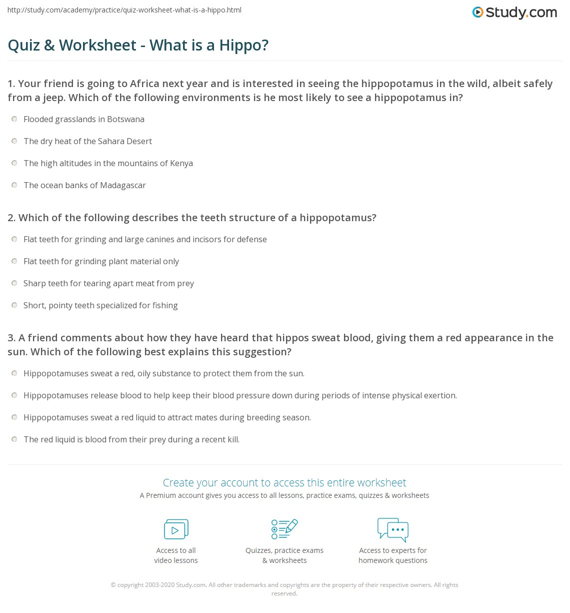 Quiz & Worksheet - What is a Hippo? | Study.com