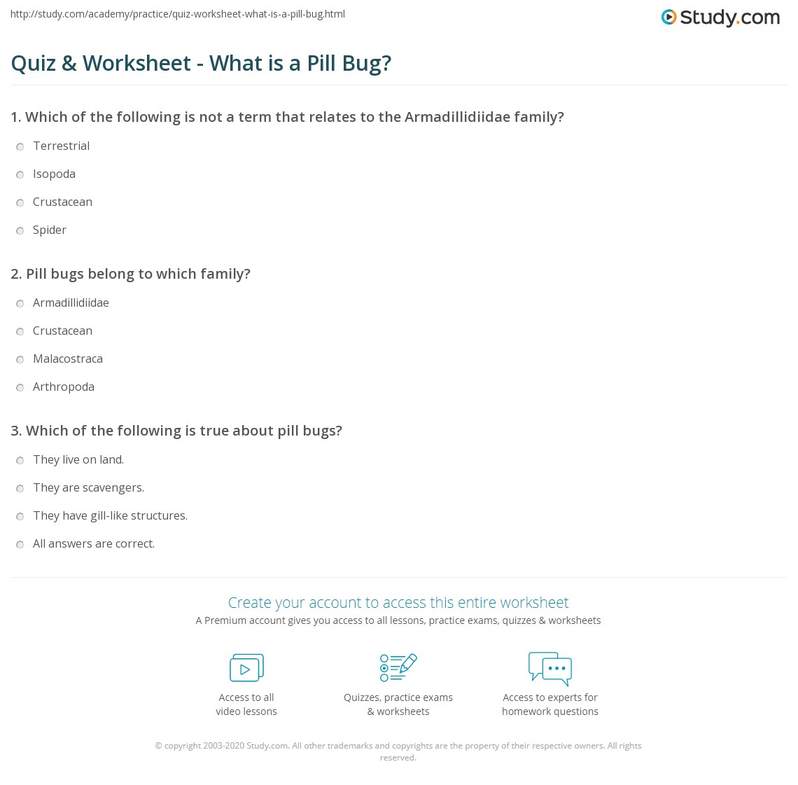 Quiz & Worksheet - What is a Pill Bug? | Study.com