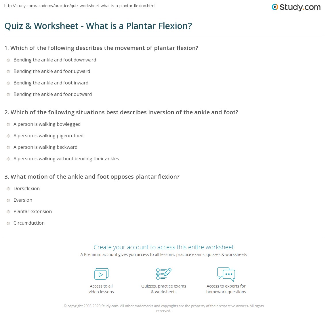 Quiz & Worksheet - What is a Plantar Flexion? | Study.com