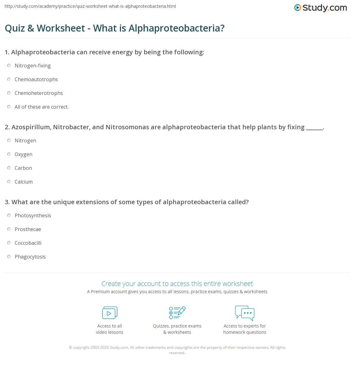 Quiz & Worksheet - What is Alphaproteobacteria? | Study.com