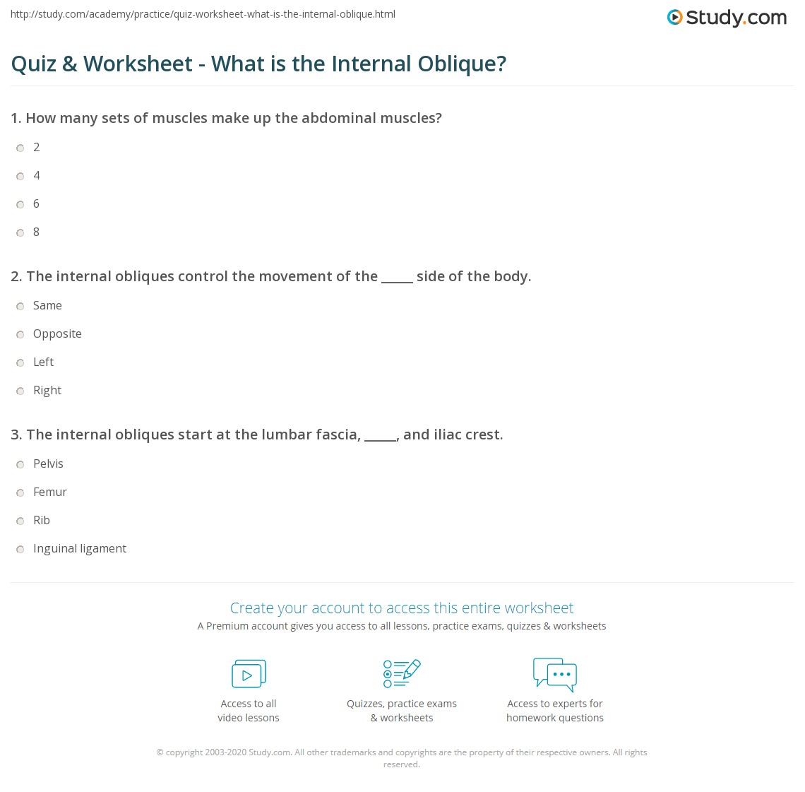 Quiz & Worksheet - What is the Internal Oblique? | Study.com