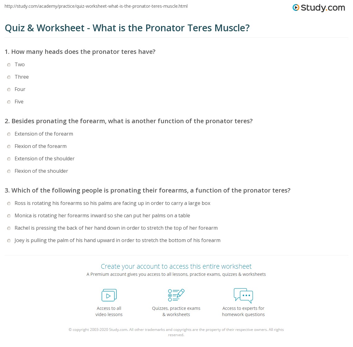 Quiz & Worksheet - What is the Pronator Teres Muscle? | Study.com