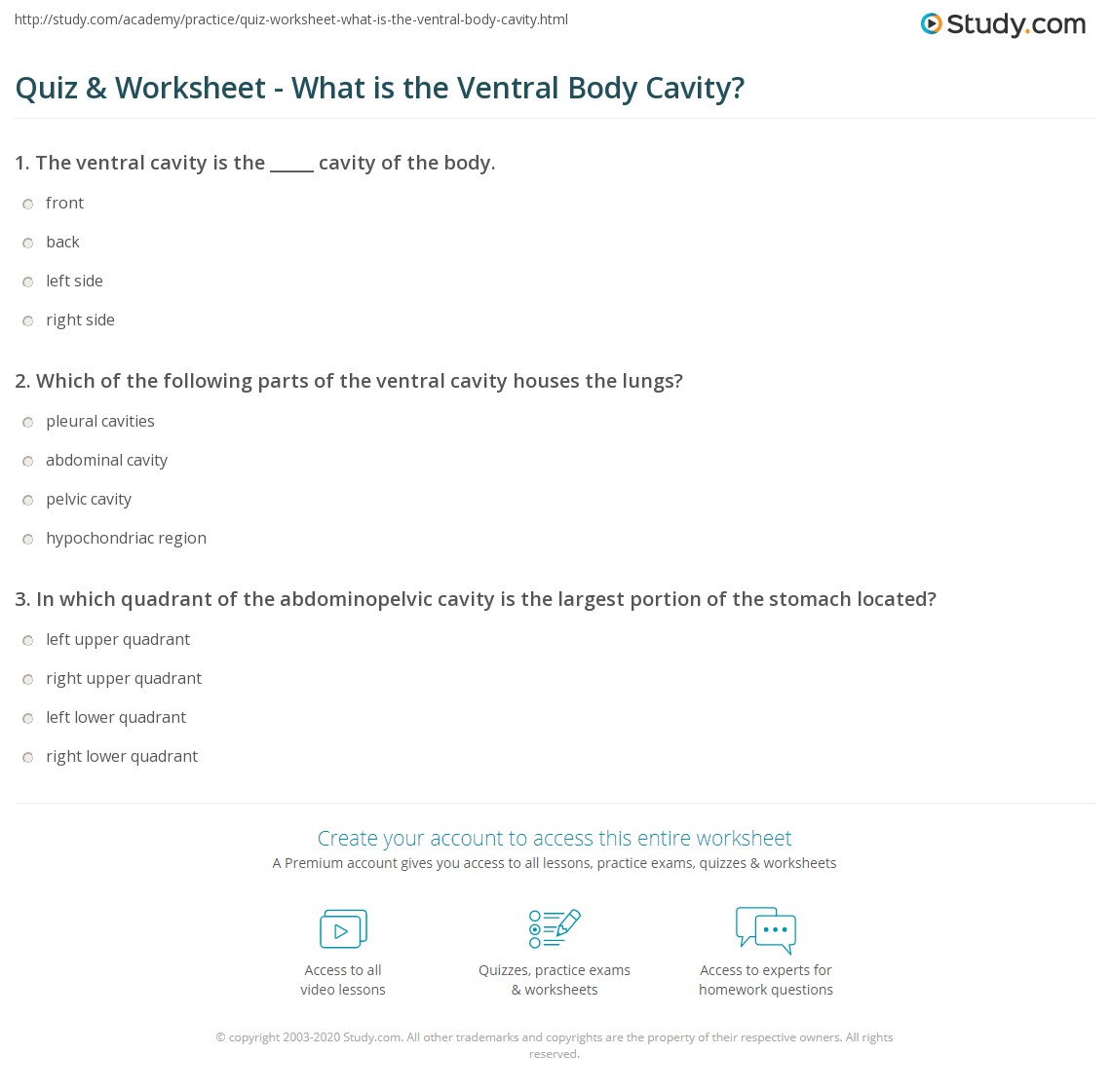 Quiz & Worksheet - What is the Ventral Body Cavity? | Study.com