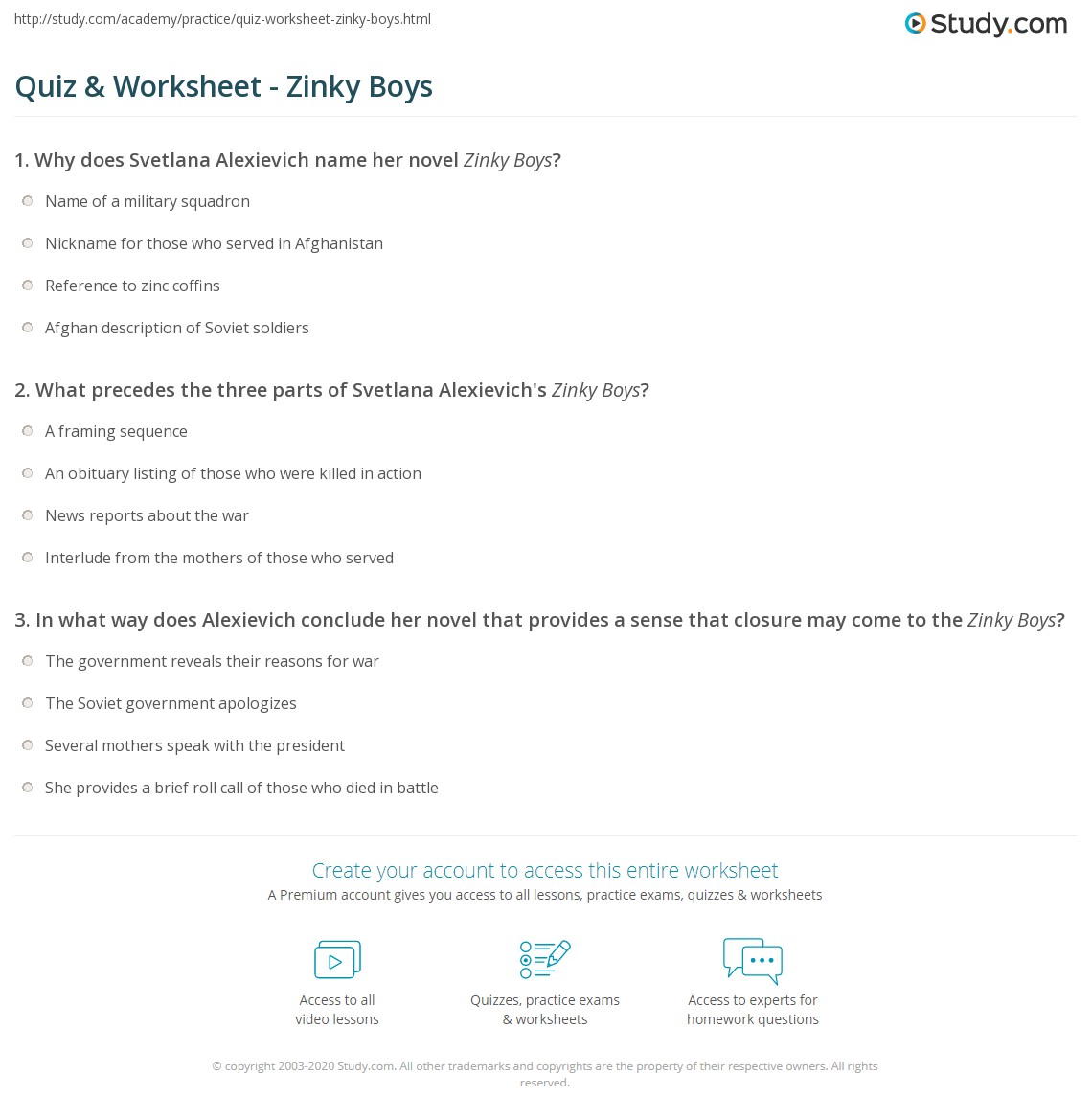 Quiz & Worksheet - Zinky Boys | Study.com
