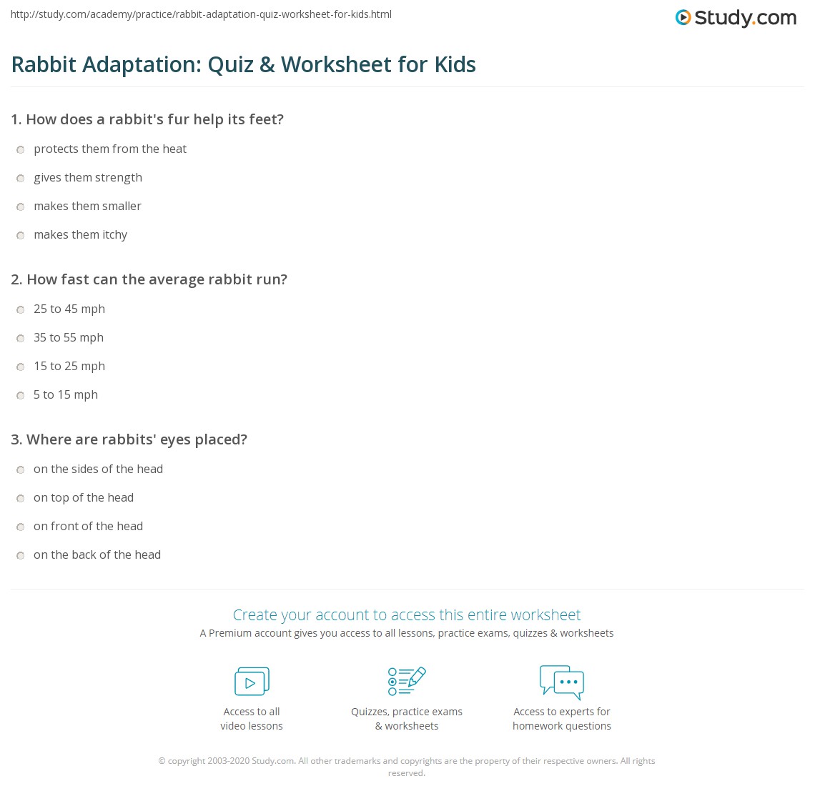 Rabbit Adaptation: Quiz & Worksheet for Kids | Study.com