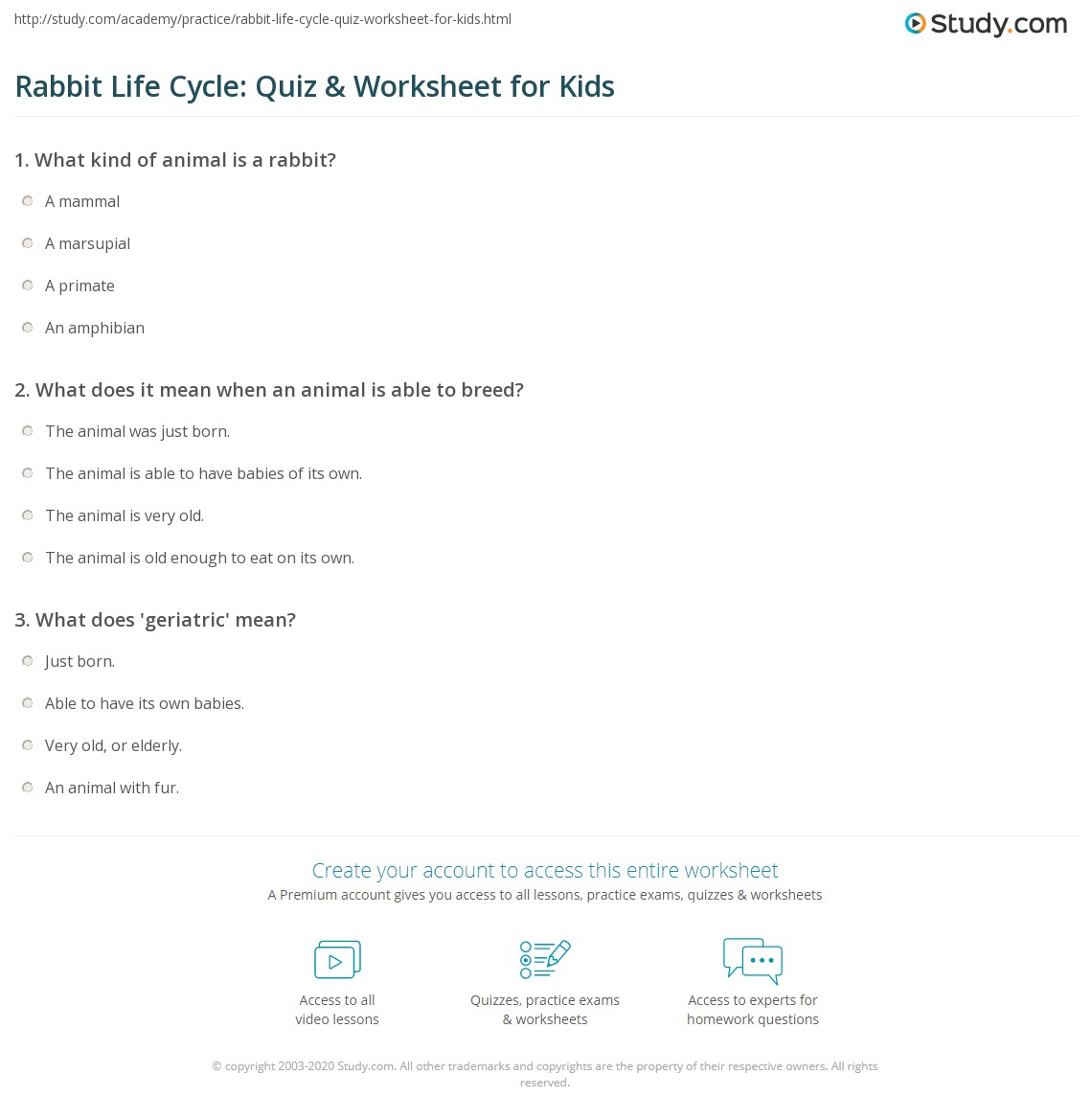 Rabbit Life Cycle: Quiz & Worksheet for Kids | Study.com