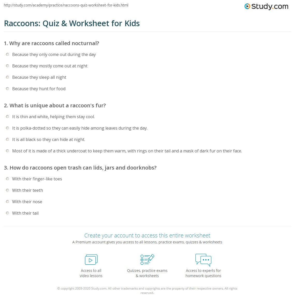Raccoons: Quiz & Worksheet for Kids | Study.com