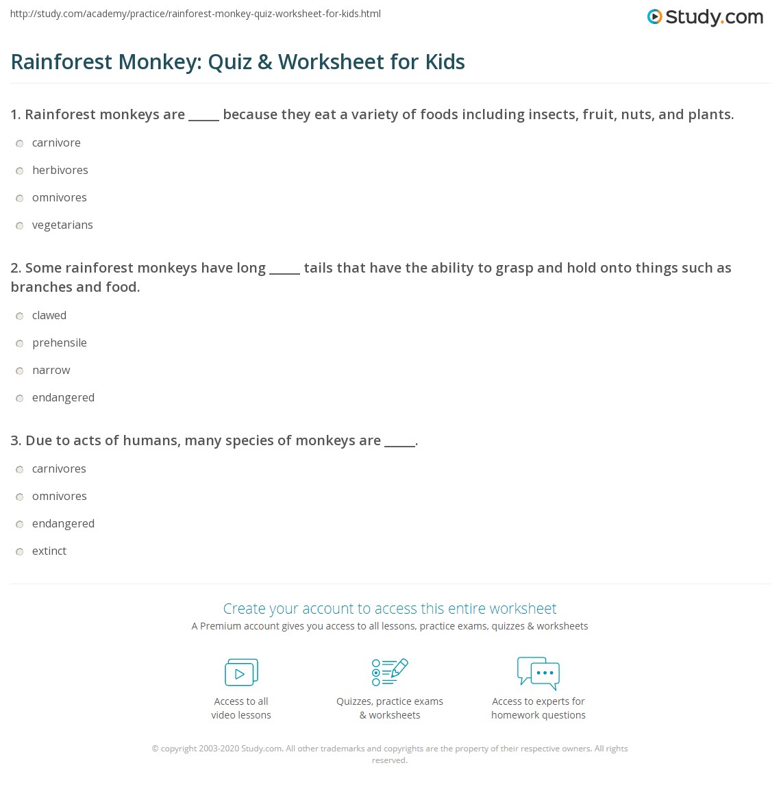 Rainforest Monkey: Quiz & Worksheet for Kids | Study.com