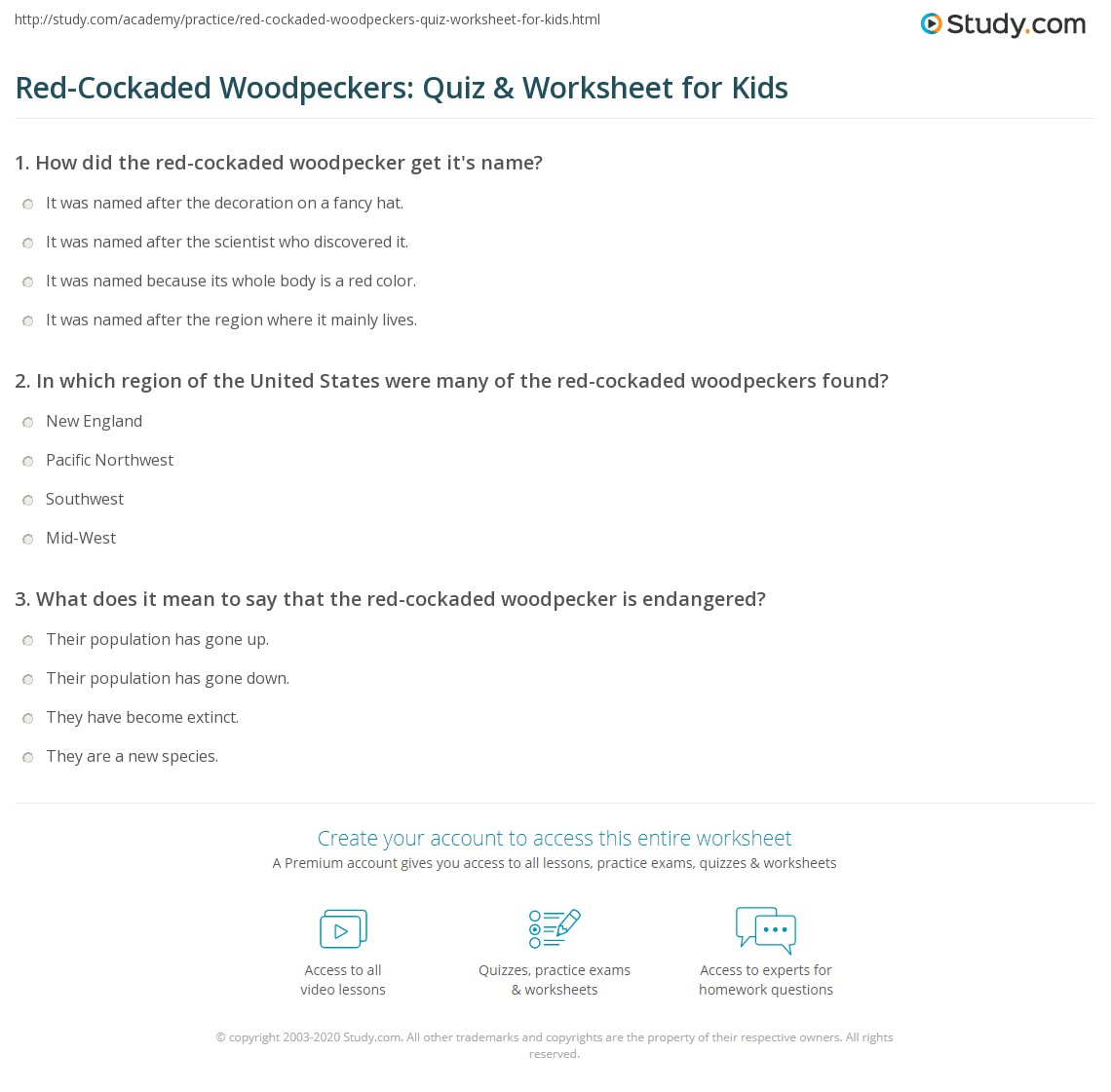 Red-Cockaded Woodpeckers: Quiz & Worksheet for Kids | Study.com