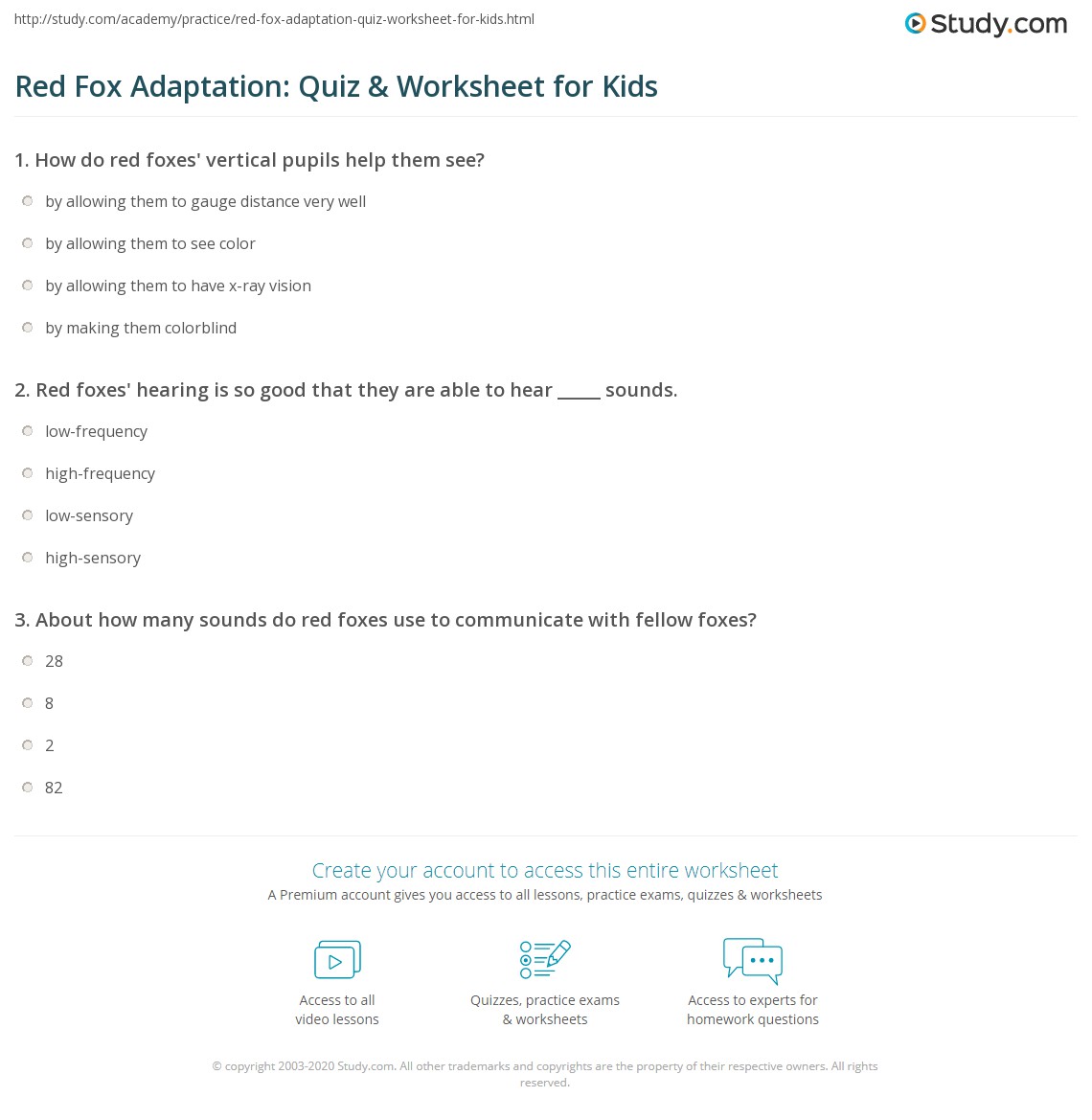 Red Fox Adaptation: Quiz & Worksheet for Kids | Study.com