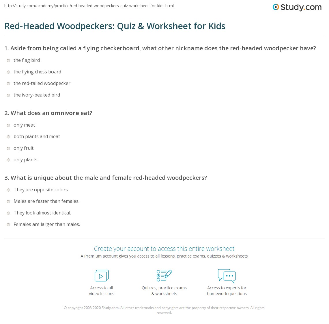 Red-Headed Woodpeckers: Quiz & Worksheet for Kids | Study.com