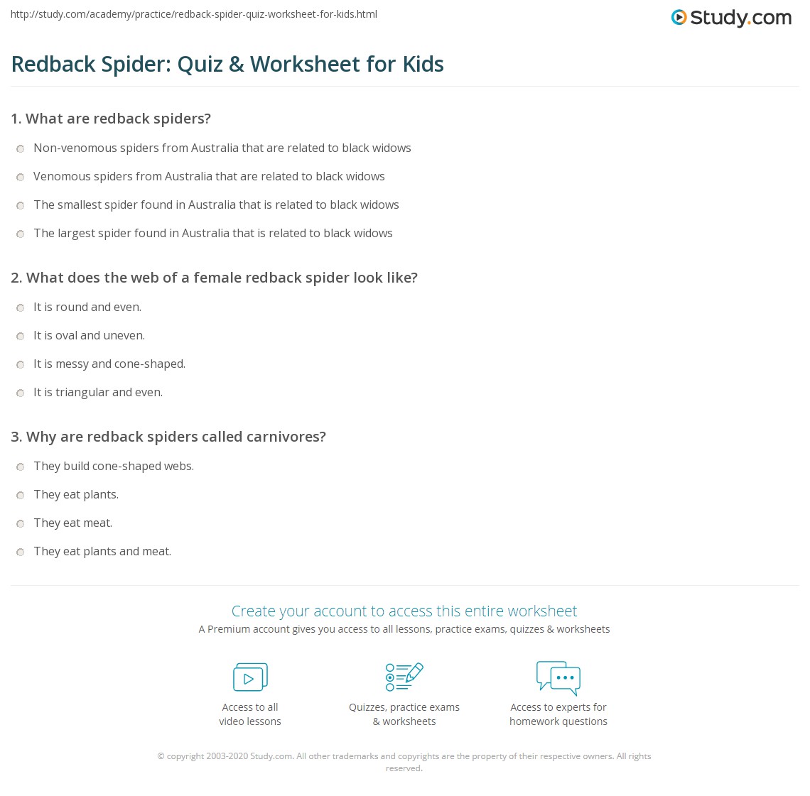 Redback Spider: Quiz & Worksheet for Kids | Study.com
