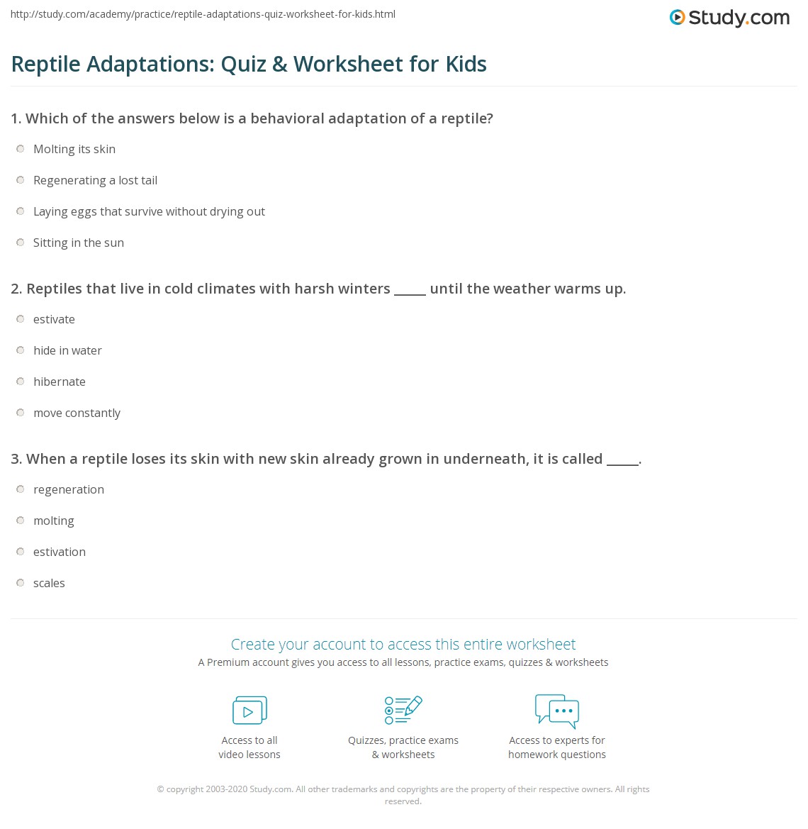 Reptile Adaptations: Quiz & Worksheet for Kids | Study.com