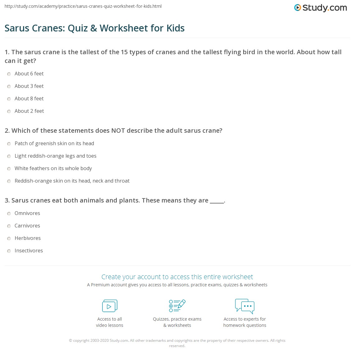 Sarus Cranes: Quiz & Worksheet for Kids | Study.com