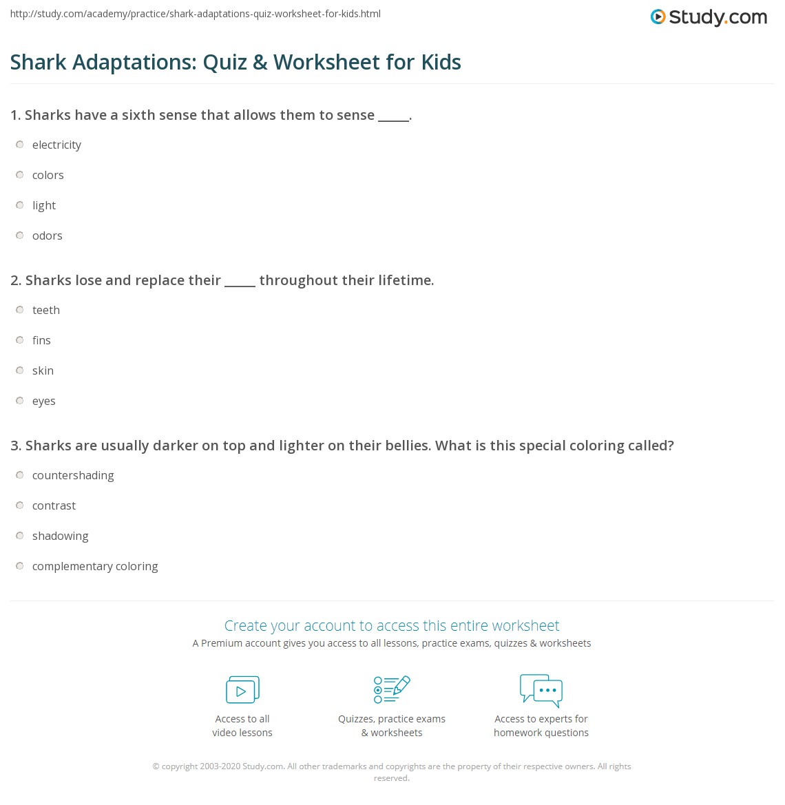 Shark Adaptations: Quiz & Worksheet for Kids | Study.com