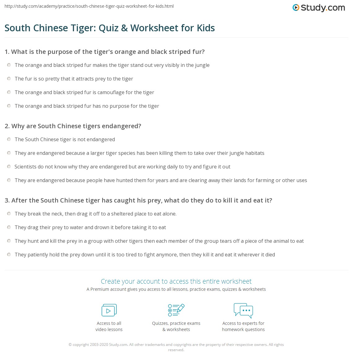 South Chinese Tiger: Quiz & Worksheet for Kids | Study.com