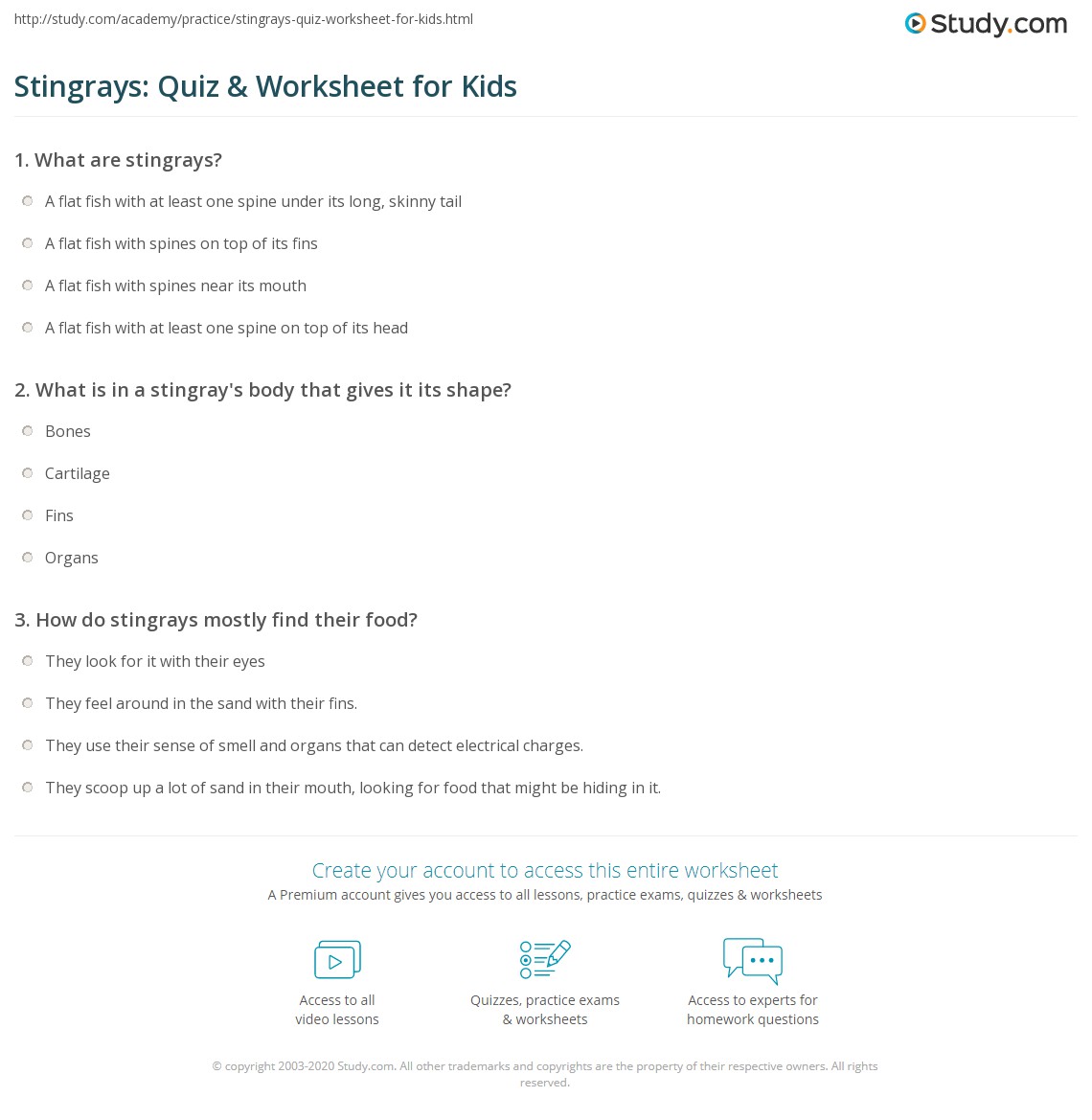 Stingrays: Quiz & Worksheet for Kids | Study.com