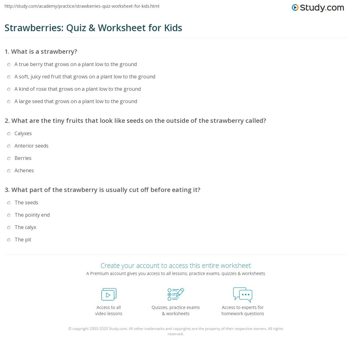 Strawberries: Quiz & Worksheet for Kids | Study.com