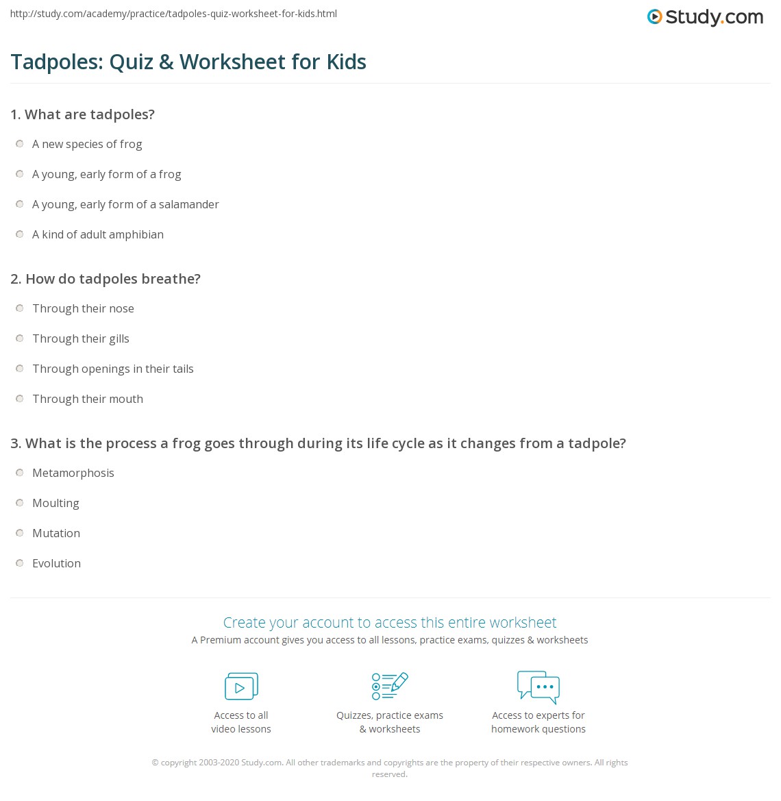 Tadpoles: Quiz & Worksheet for Kids | Study.com