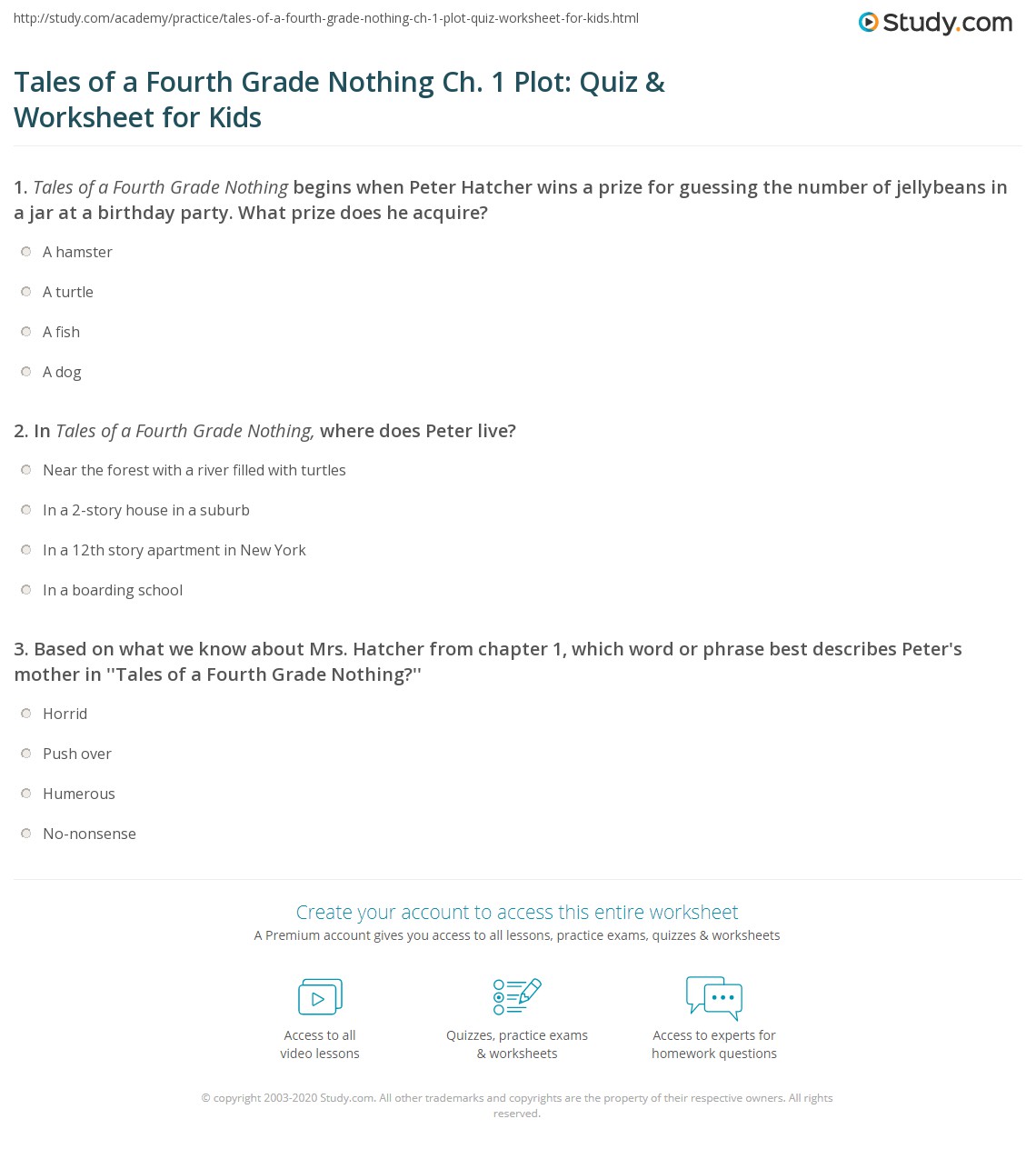 Tales of a Fourth Grade Nothing Ch. 1 Plot: Quiz & Worksheet for Kids ...