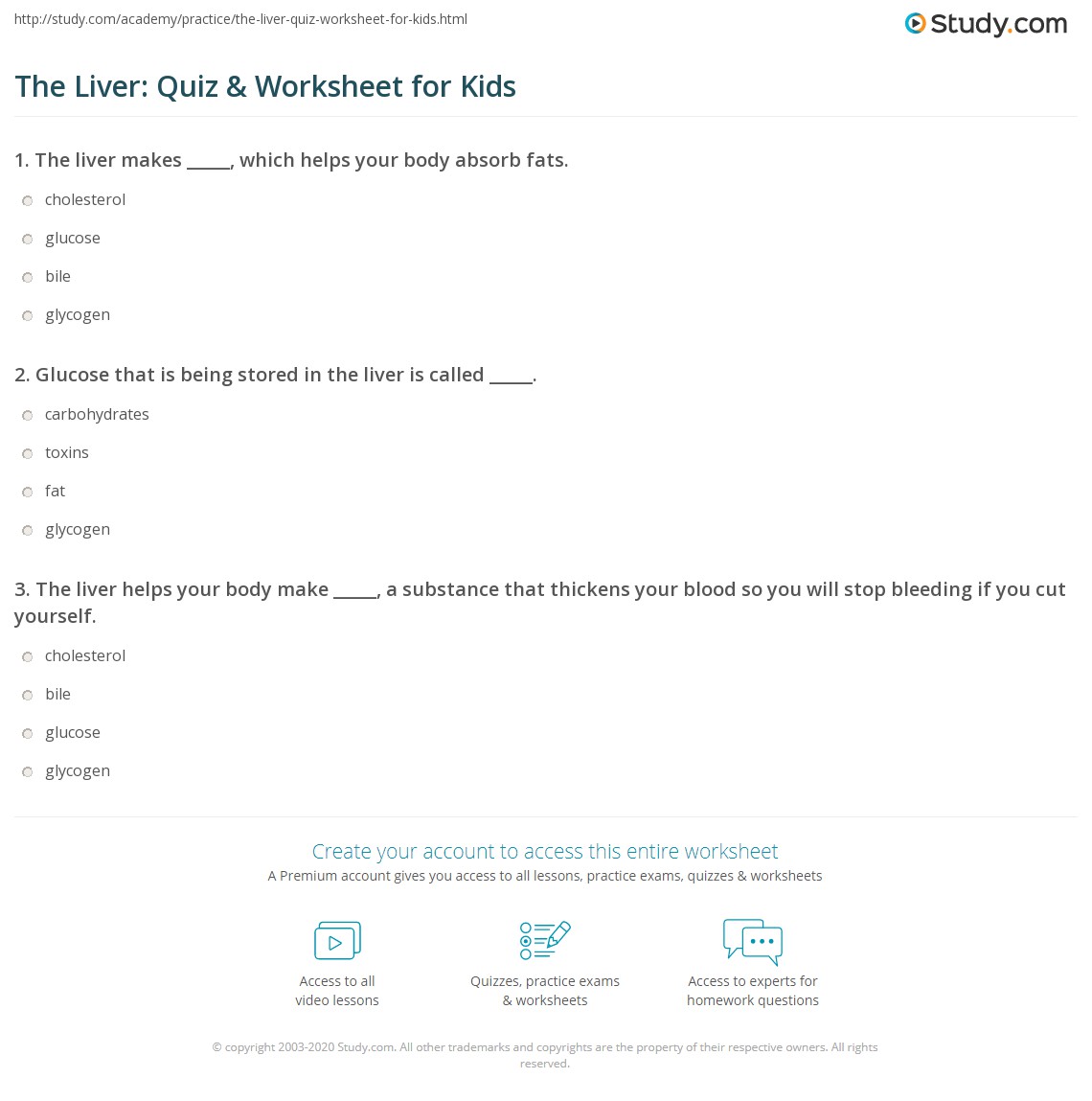 The Liver: Quiz & Worksheet for Kids | Study.com