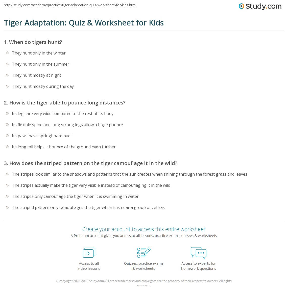 Tiger Adaptation: Quiz & Worksheet for Kids | Study.com