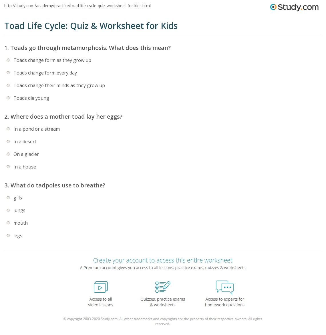Toad Life Cycle: Quiz & Worksheet for Kids | Study.com