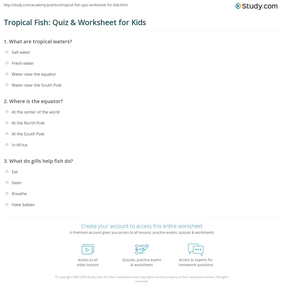 Tropical Fish: Quiz & Worksheet for Kids | Study.com