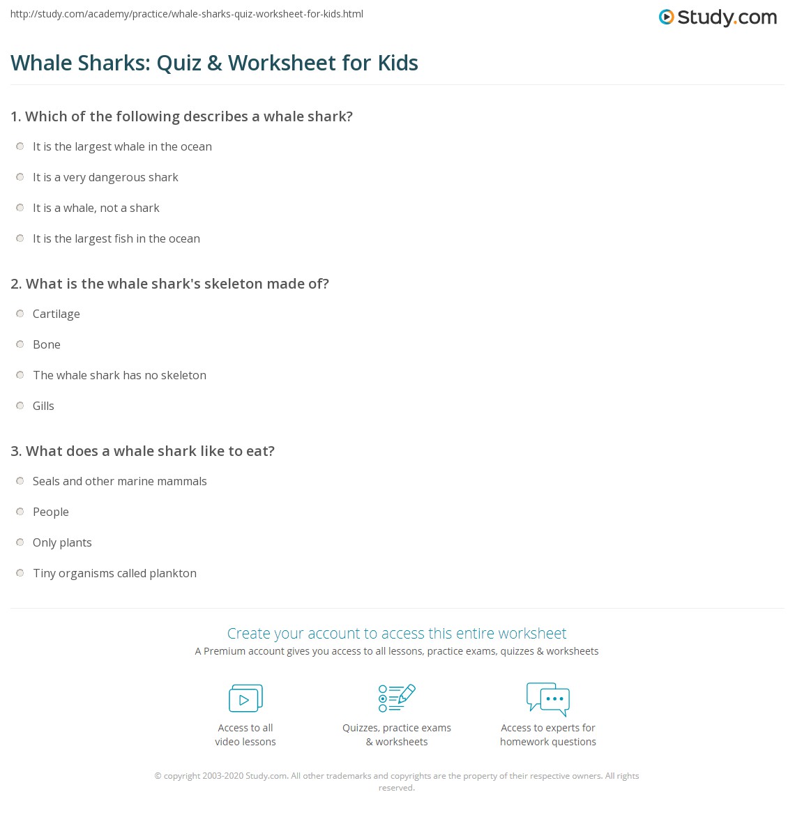 Whale Sharks: Quiz & Worksheet for Kids | Study.com