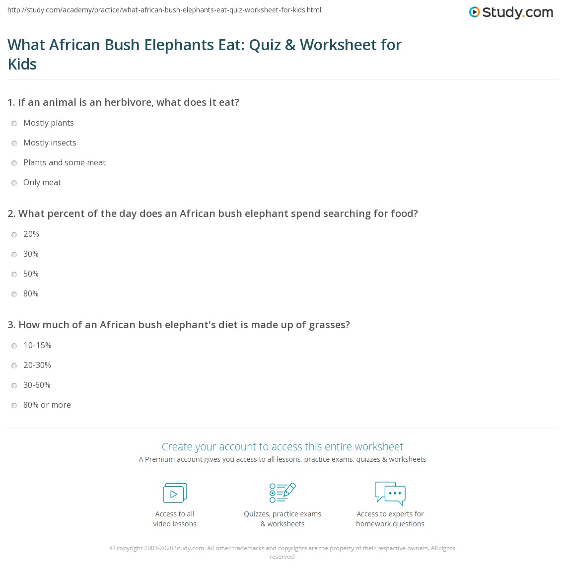 What African Bush Elephants Eat: Quiz & Worksheet for Kids | Study.com