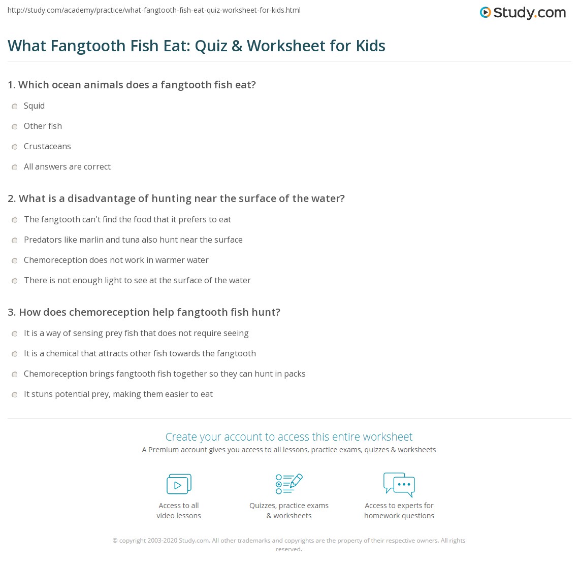 What Fangtooth Fish Eat: Quiz & Worksheet for Kids | Study.com