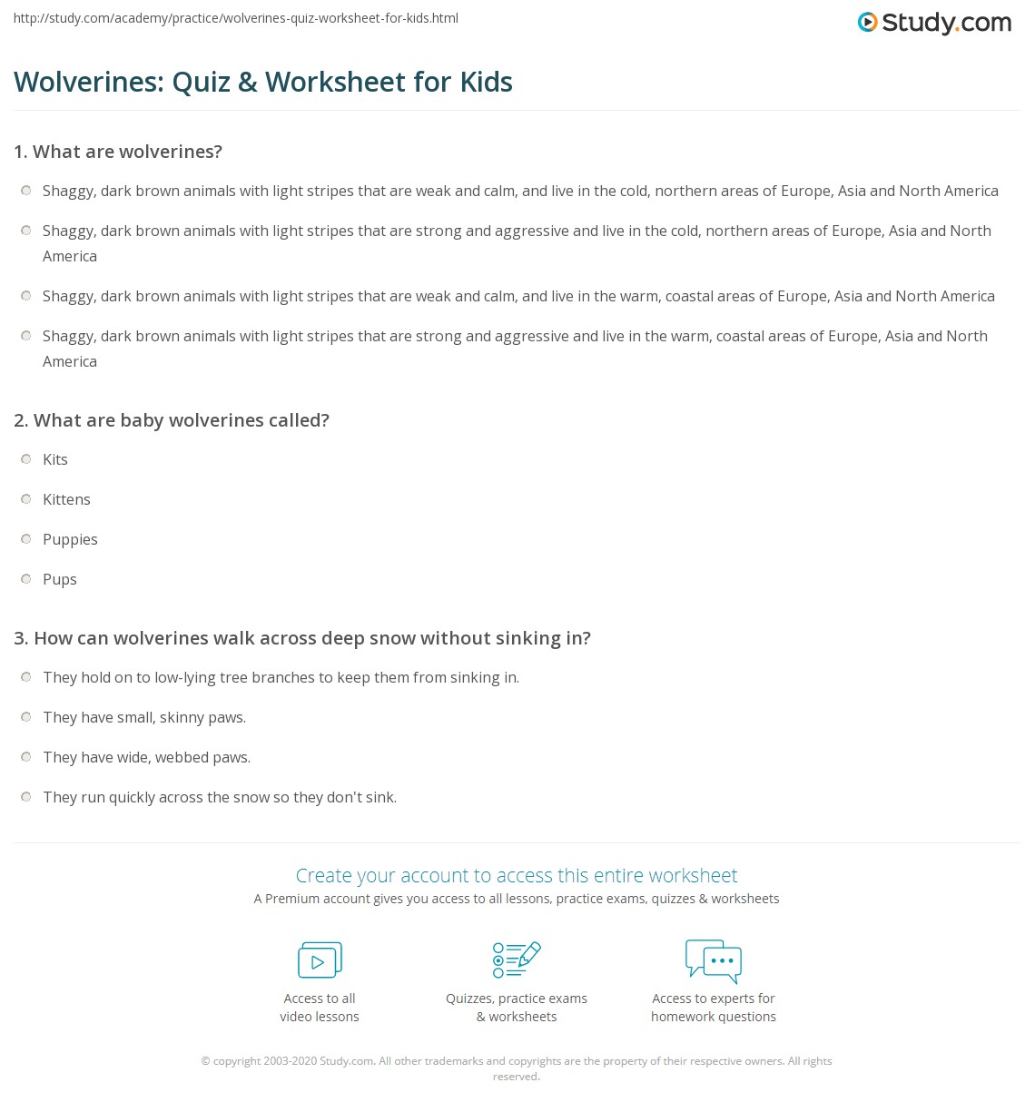 Wolverines: Quiz & Worksheet for Kids | Study.com