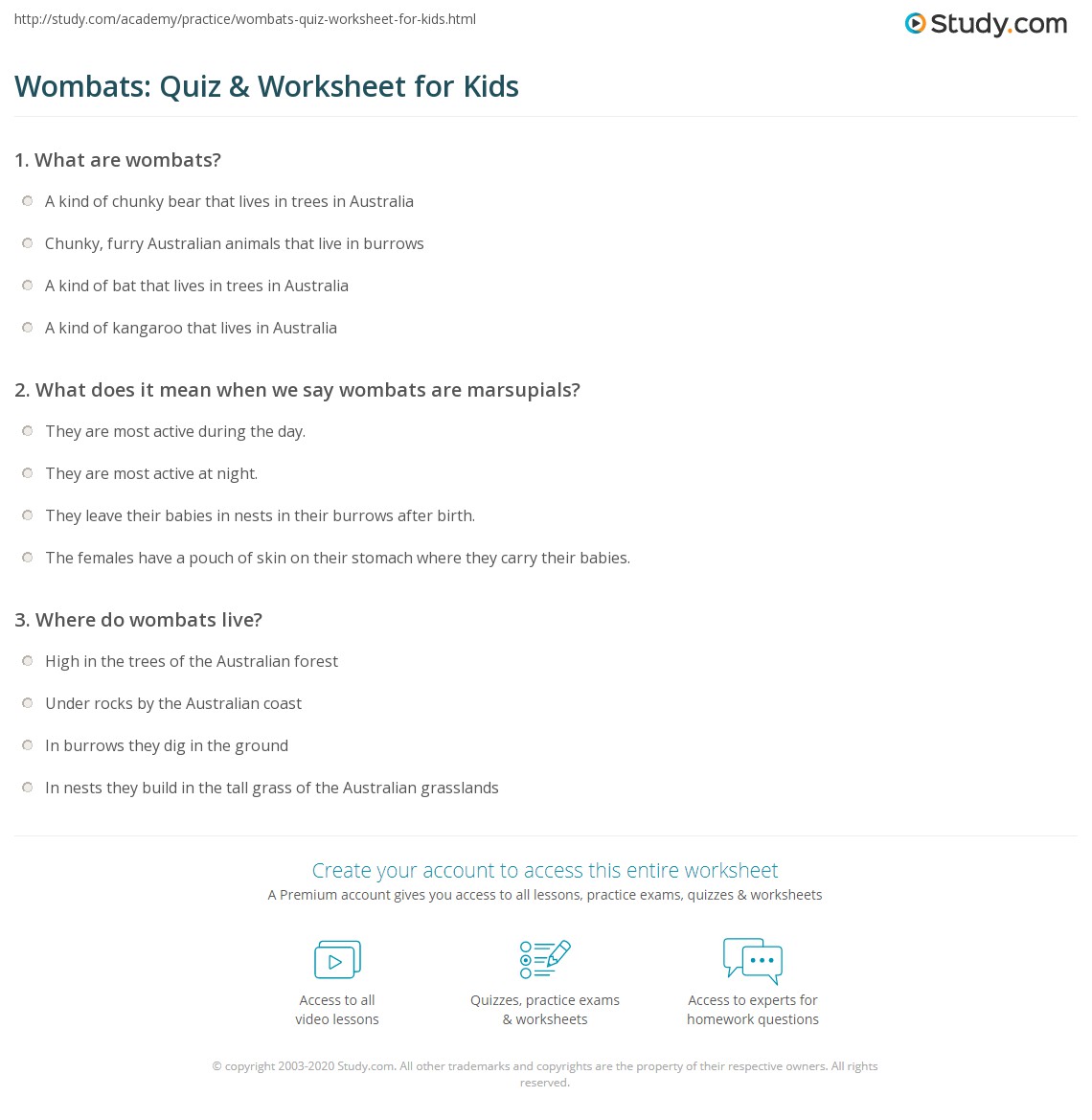Wombats: Quiz & Worksheet for Kids | Study.com