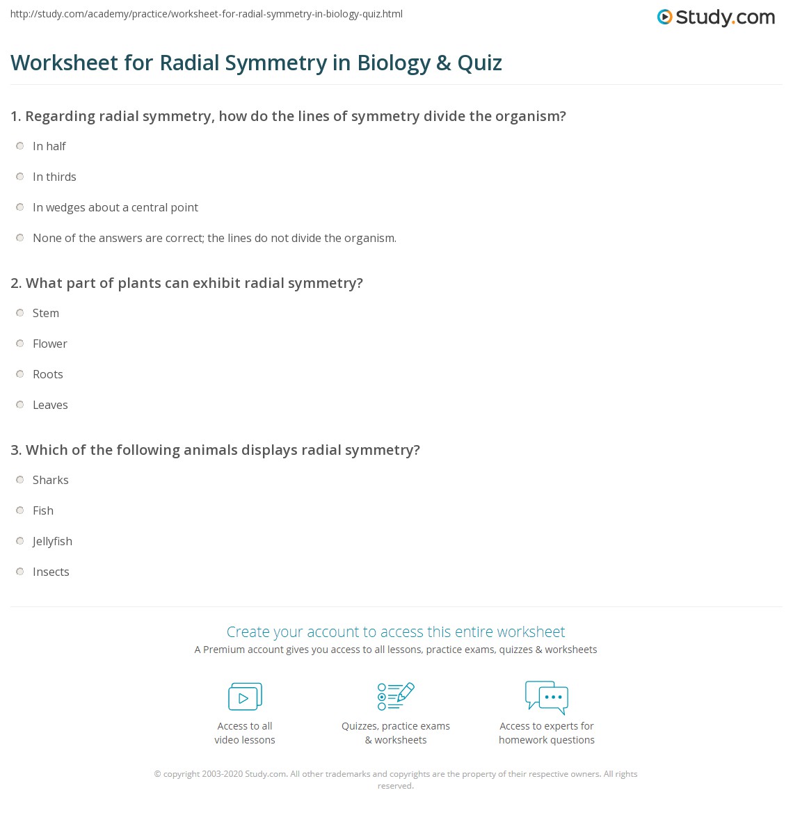 Worksheet for Radial Symmetry in Biology & Quiz | Study.com
