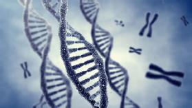 Physical Science Definition, Branches & Examples - Lesson | Study.com