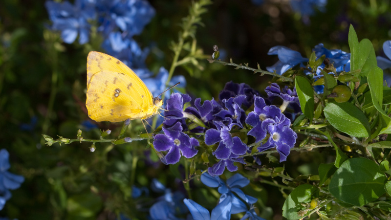 Alberta Education Diploma - Biology 30: Exam Prep & Study Guide Course ...