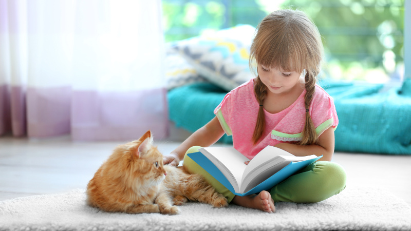 Animals in Children's Books Lesson Plans & Resources Course - Online ...