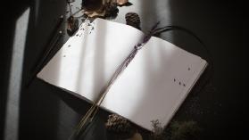 Composition Writing Rules & Format | What is Composition? - Video ...