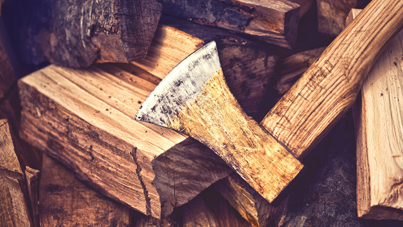 Hatchet Study Guide Course - Online Video Lessons | Study.com