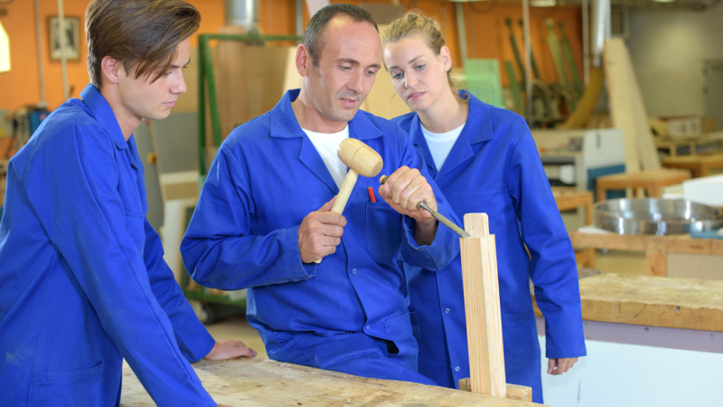 MTEL Vocational Technical Literacy Skills Test (191/291) Study Guide ...