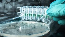 Praxis 5624 Study Guide - Principles of Learning and Teaching: Grades 7 ...