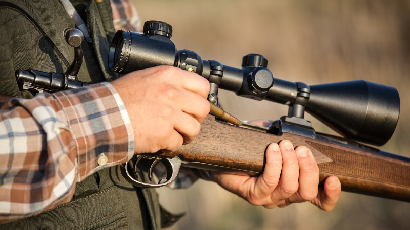 The Most Dangerous Game Study Guide Course - Online Video Lessons ...