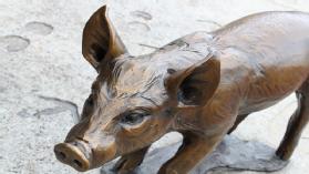 The Pigman by Paul Zindel | Summary, Themes & Characters | Study.com